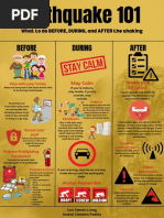 Earthquake Preparedness Guide | PDF | Earthquakes | Seismology