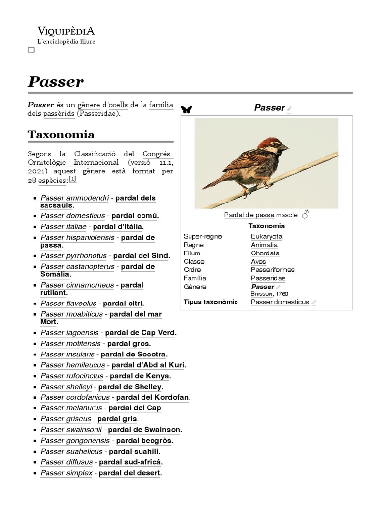 Passer | PDF