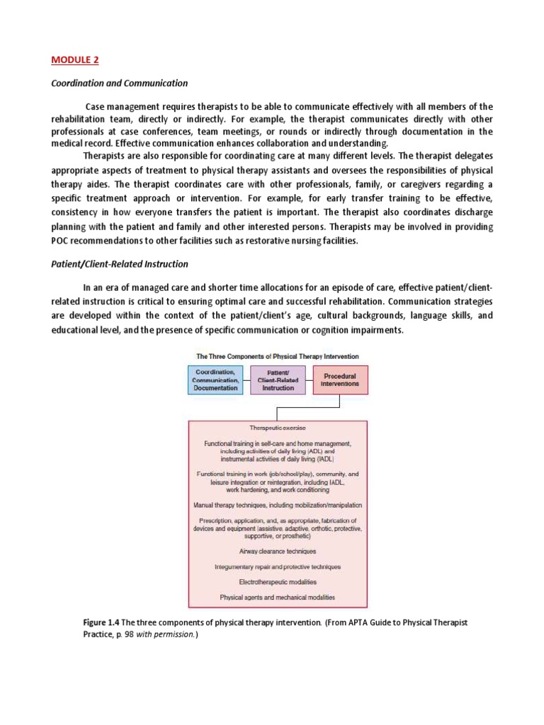 Plan of Care - Module | PDF | Physical Therapy | Therapy