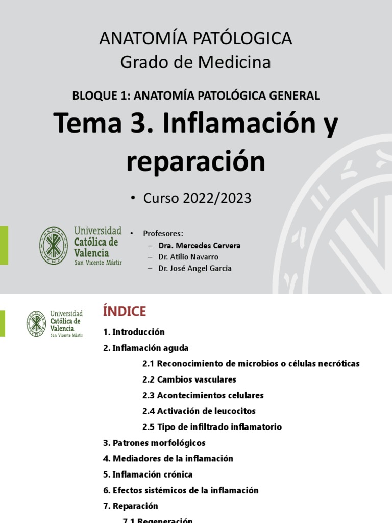 Inflamación y Reparación en Anatomía Patológica | PDF | Inflamación ...