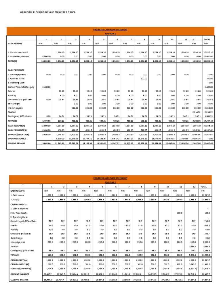 Appendices To The Business Plan-1 | PDF | Cash | Loans