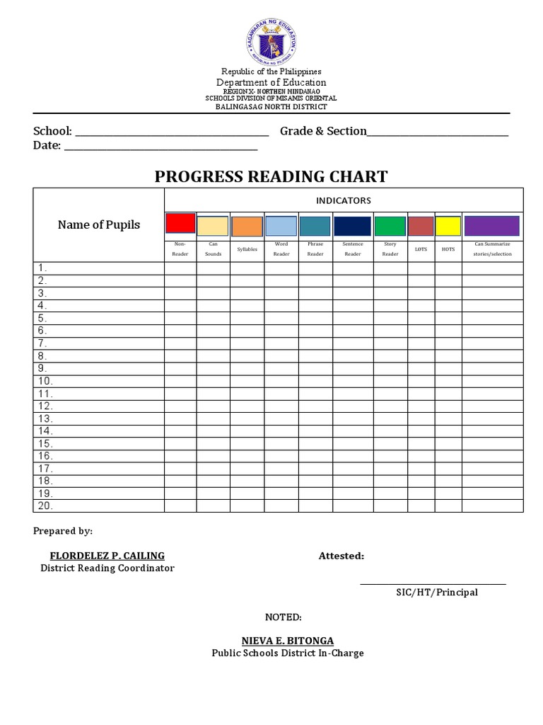 READING PROGRESS REPORT For BalNorthDisrictFinal | PDF