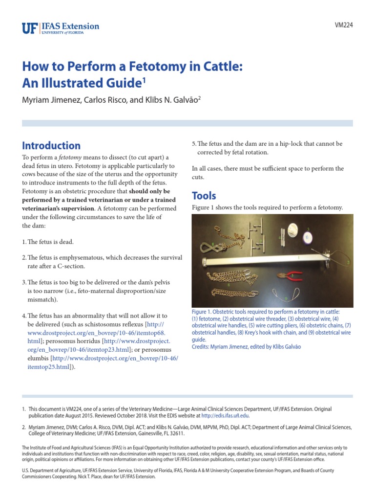 A Guide For Fetotomy | PDF