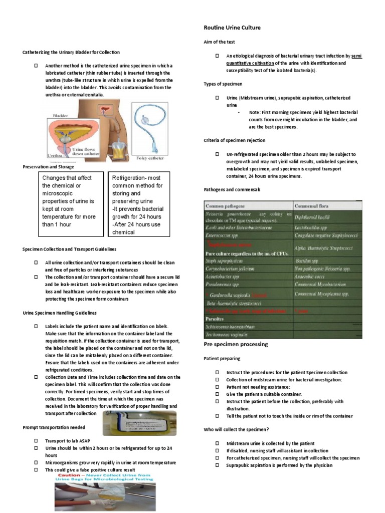 Routine Urine Culture: A Comprehensive Guide to Specimen Collection ... Routine Urine Culture: A Comprehensive Guide to Specimen Collection ...