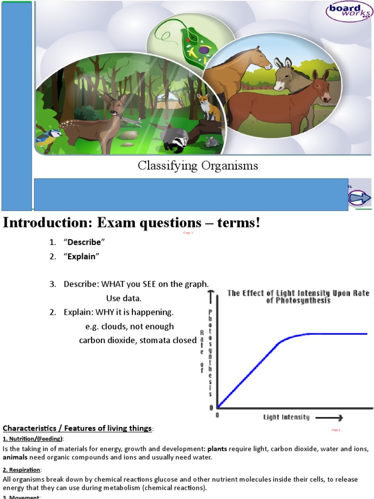 Classifying Organisms: 1 of 33 © Boardworks LTD 2011 | PDF | Plants ...
