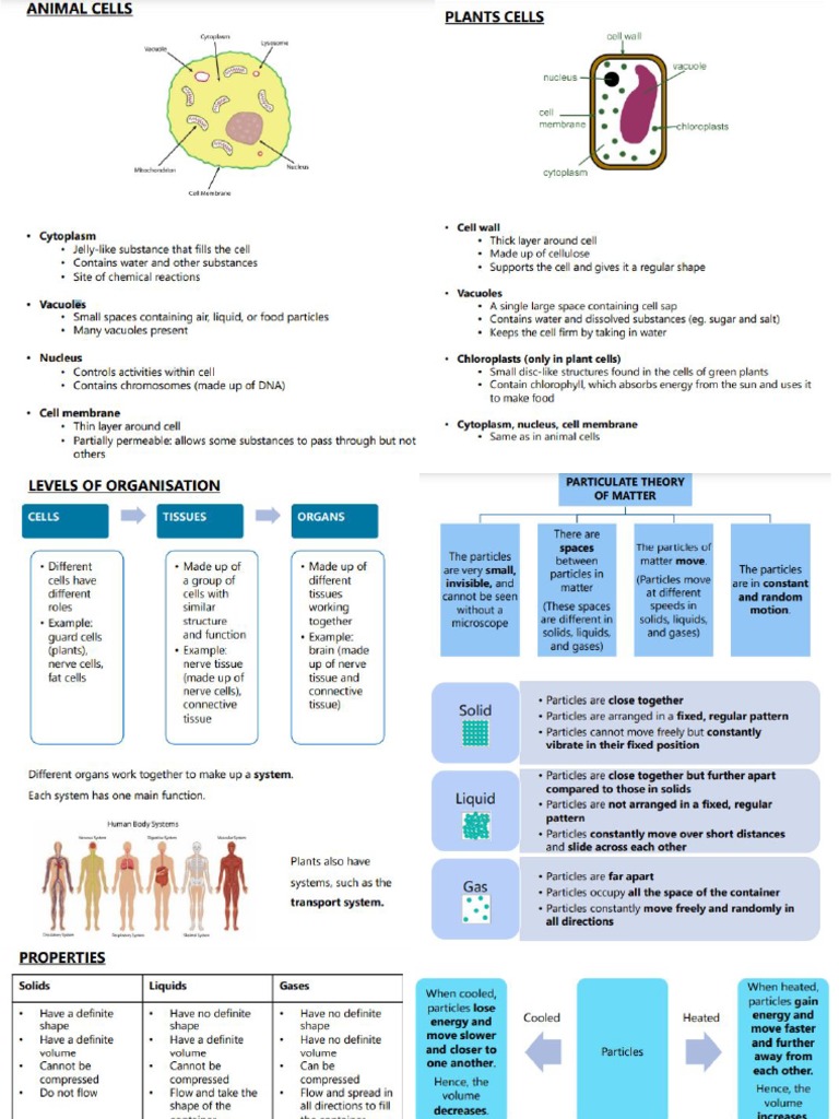 Science Notes (Secondary) | PDF