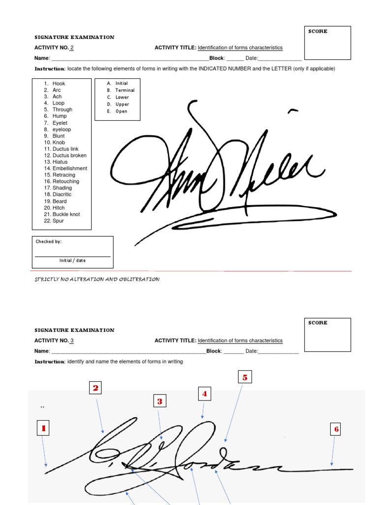 Signature Examination Assessment | PDF
