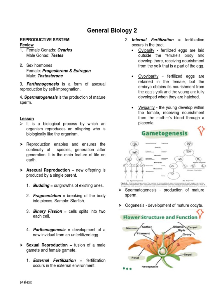 General Biology 2 Reviewer | Download Free PDF | Dominance (Genetics) | Dna