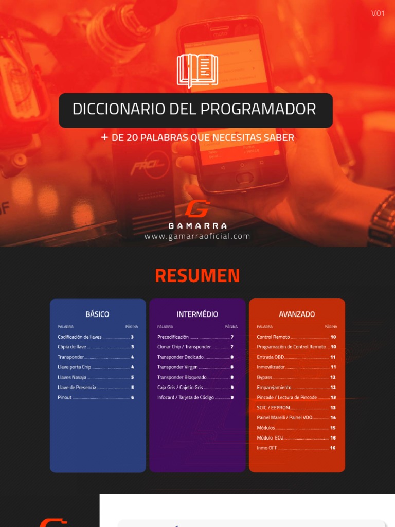 Cms Files 356226 1636567125ebook Diccionario Del Programador v1 | PDF