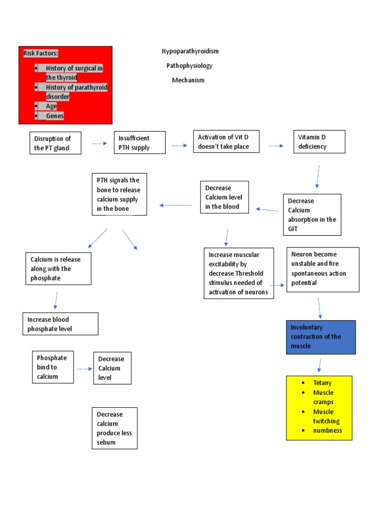 Infographic | PDF | Parathyroid Gland | Clinical Medicine