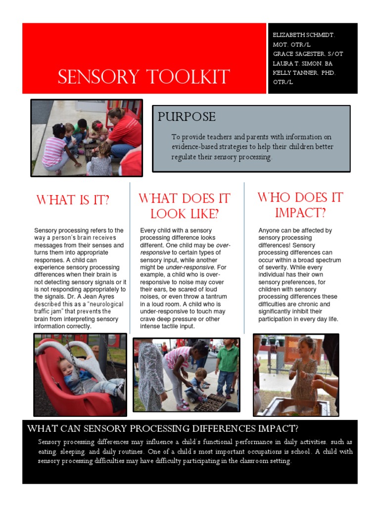 Sensory Toolkit Final LS 002 | PDF | Neuroscience | Cognition