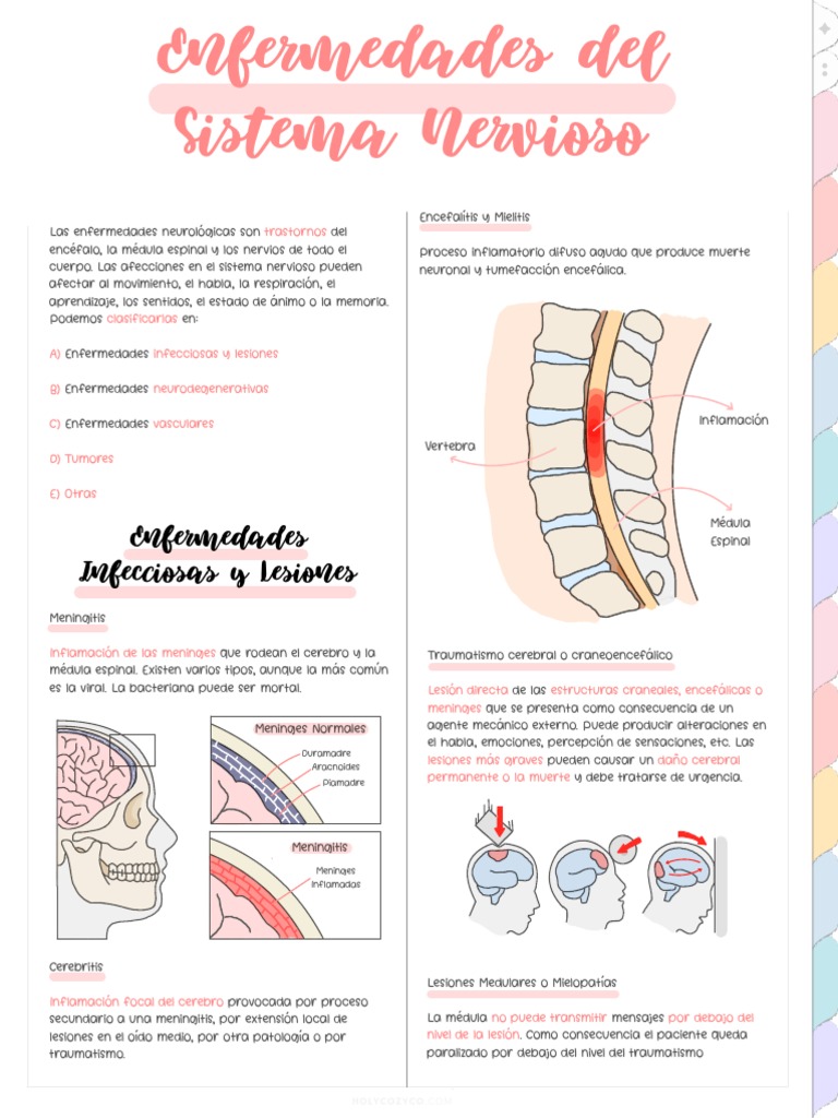 Enfermedades Del Sistema Nervioso | PDF | Sistema nervioso central ...