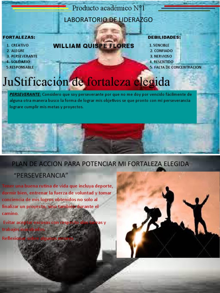 Justif Icación de Fortaleza Elegida JHH: William Quispe Flores | PDF