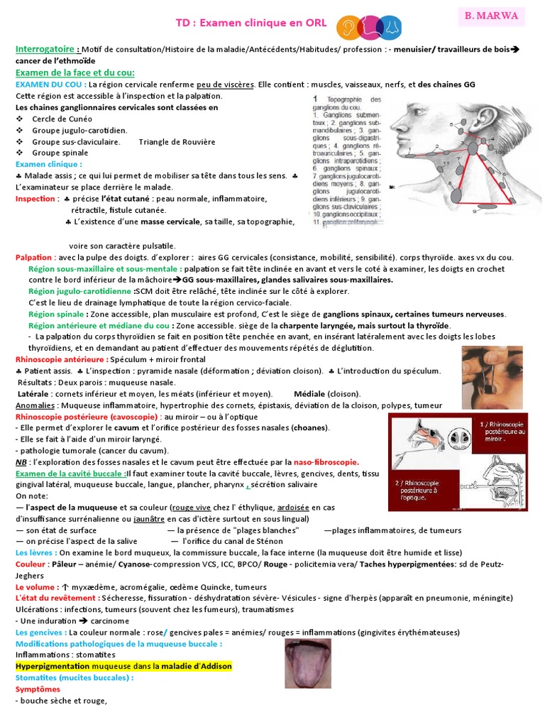 Examen Clinique ORL : Guide Complet | PDF | Cou | Langue