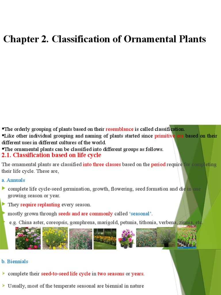 Chapter 2. Classification of Ornamental Plants | PDF | Perennial Plant ...