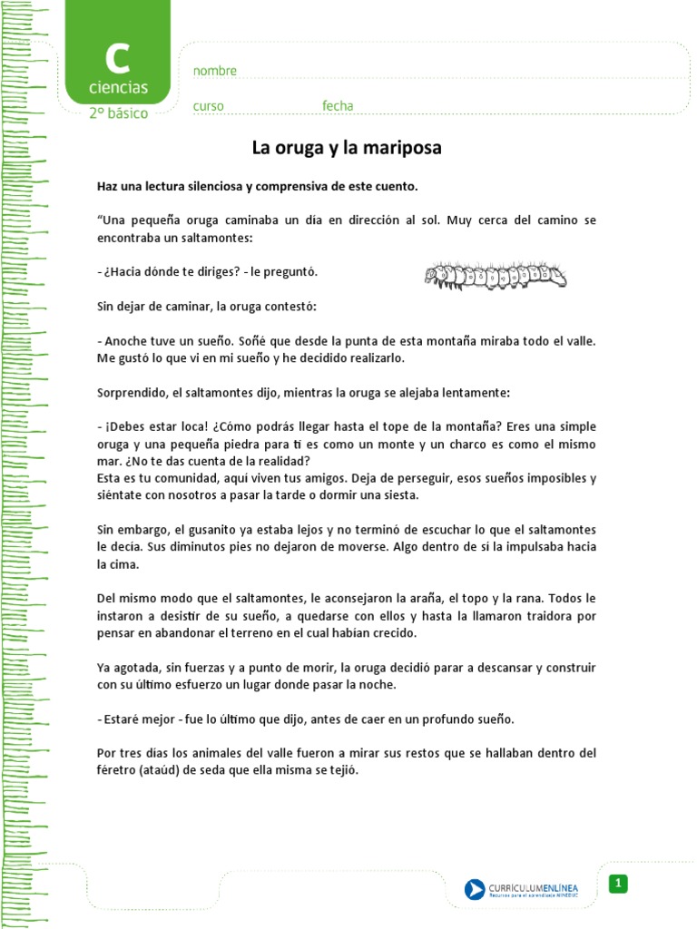 La transformación de la oruga a mariposa | PDF | Dormir