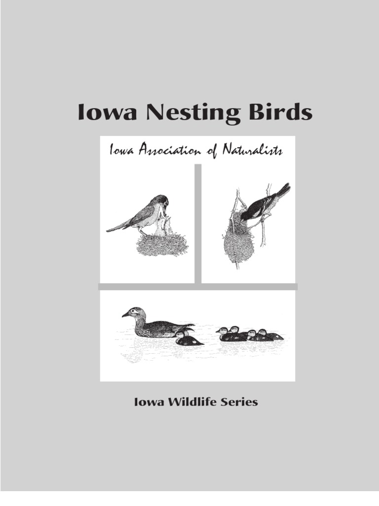 Iowa Nesting Birds: Iowa Association of Naturalists | PDF | Bird ...