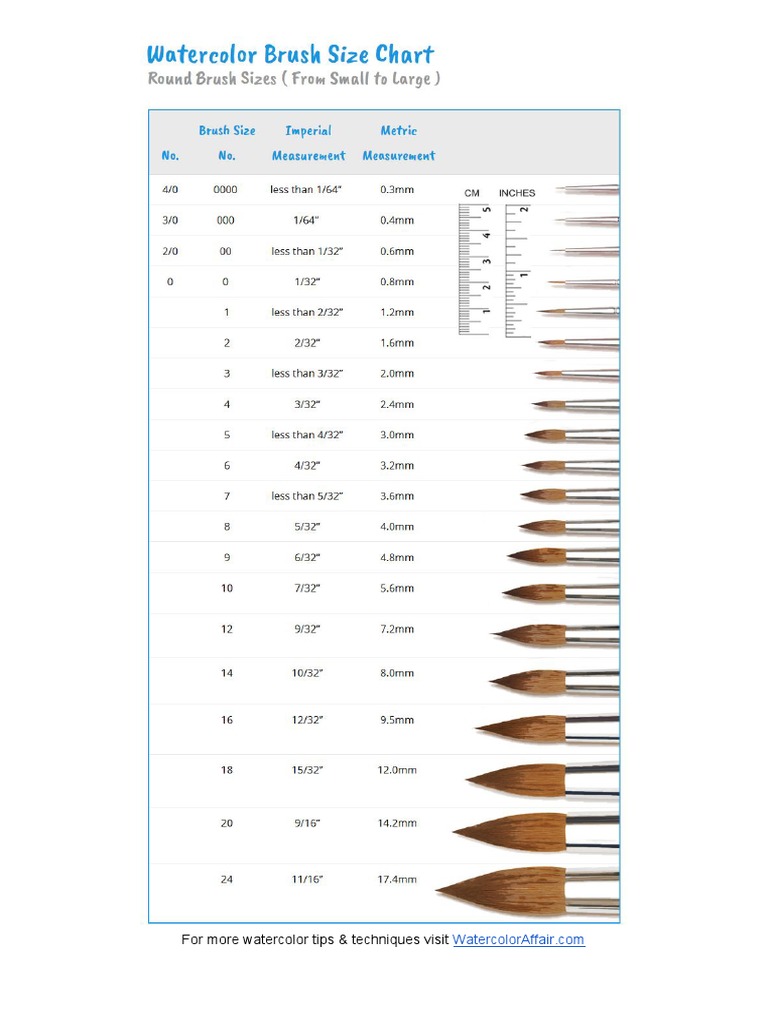 Watercolor Brush Size Chart PDF | PDF