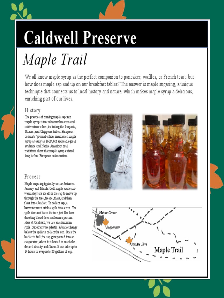 Maple Sugaring Trail Signs | PDF