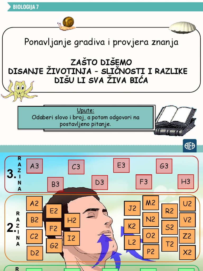 Prezentacija Za Biologiju | PDF