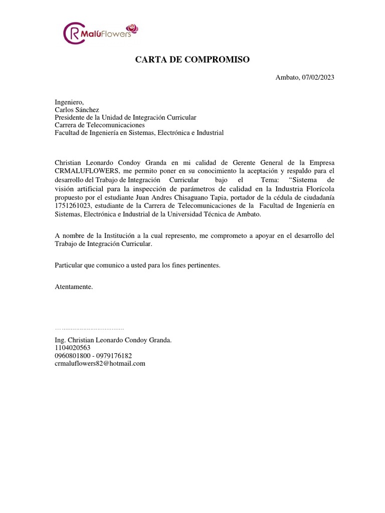 Anexo 3 Formato de La Carta de Compromiso | PDF