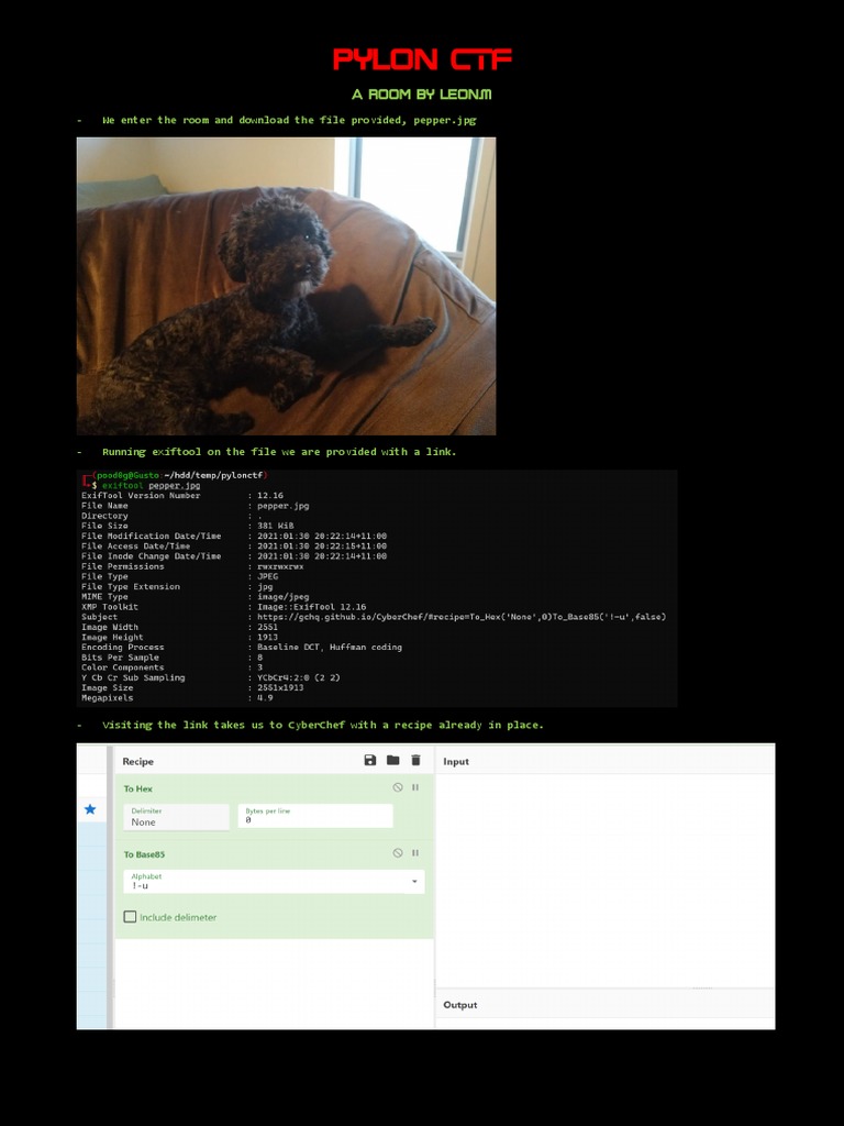 Pylon CTF | PDF | Password | Computer File