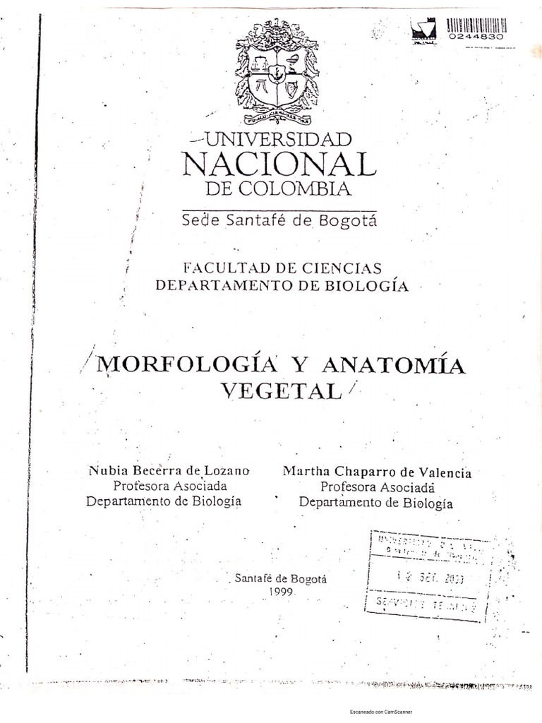 Morfología y Anatomía Vegetal - UNAL - 1999 | PDF