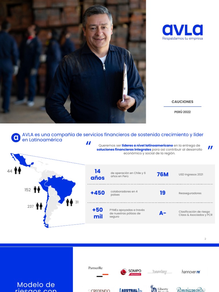 AVLA Perú - Presentación Cauciones | PDF | Seguro | Economias