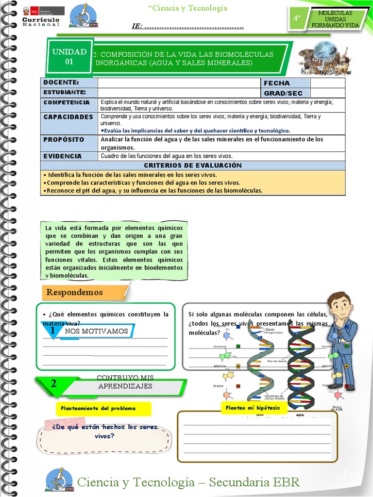 Ciencia y Tecnología - Secundaria EBR: Respondemos | PDF | Organismos | Biomoléculas
