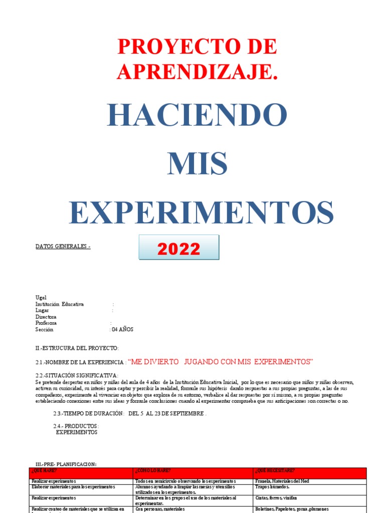 Proyecto Experimentos | PDF | Aprendizaje | Evaluación