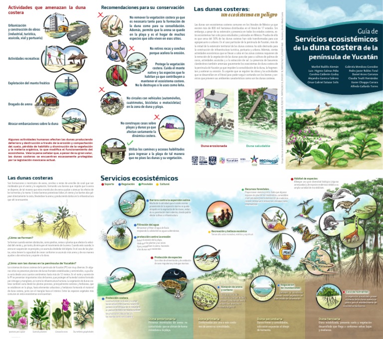 Dunas Yucatan | PDF | playa | Zona litoral