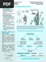 CARACTERISTICAS Vía Colectora | PDF | Calle | Transporte de tierra