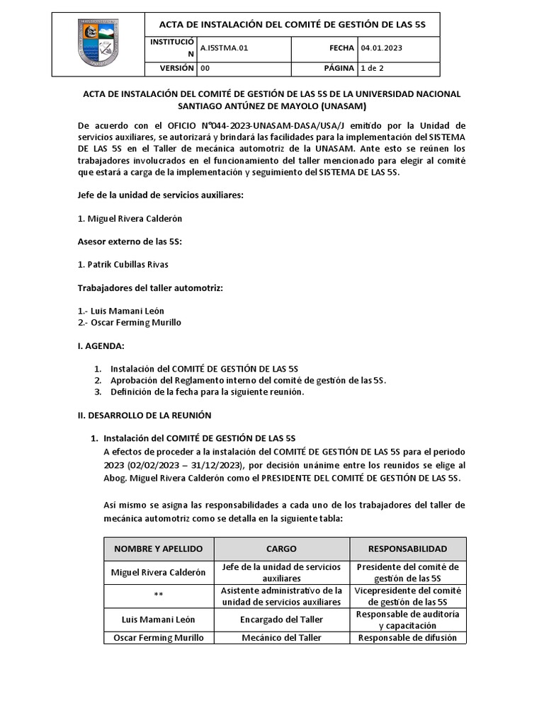 ACTA DE CONFORMACION | PDF | Gobierno