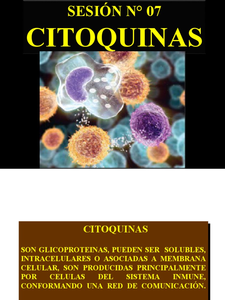 SESIÓN #07 Citoquinas | PDF | Citocina | Anatomía