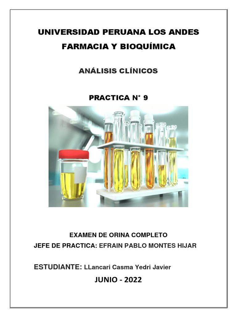 PRACTICA #9 Examen de Orina | PDF | Orina | Especialidades Medicas