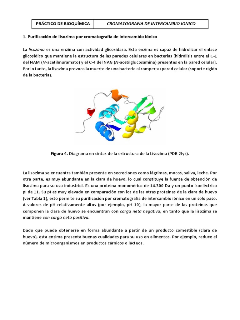 Práctico de Bioquímica 1. Purificación de Lisozima Por Cromatografía de Intercambio Iónico | PDF ...