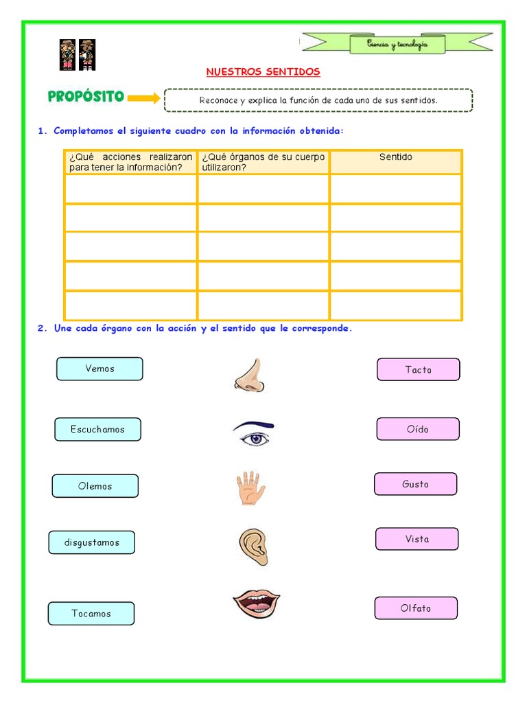 Los Sentidos Ficha | PDF