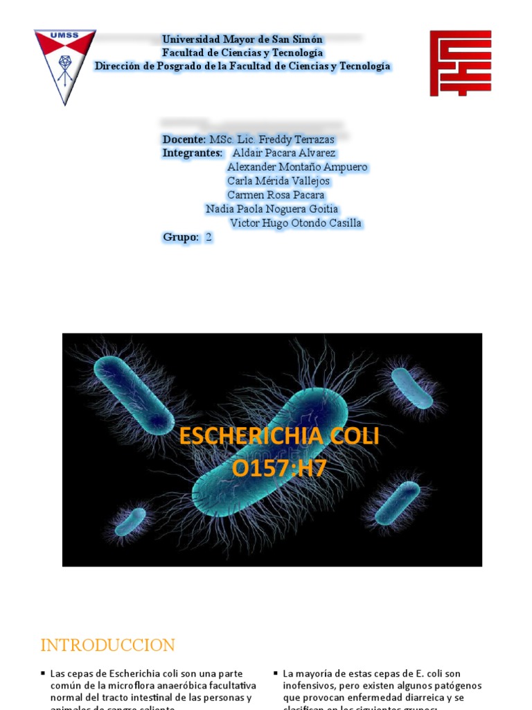 E. COLI Expo | PDF | Escherichia coli | Diarrea