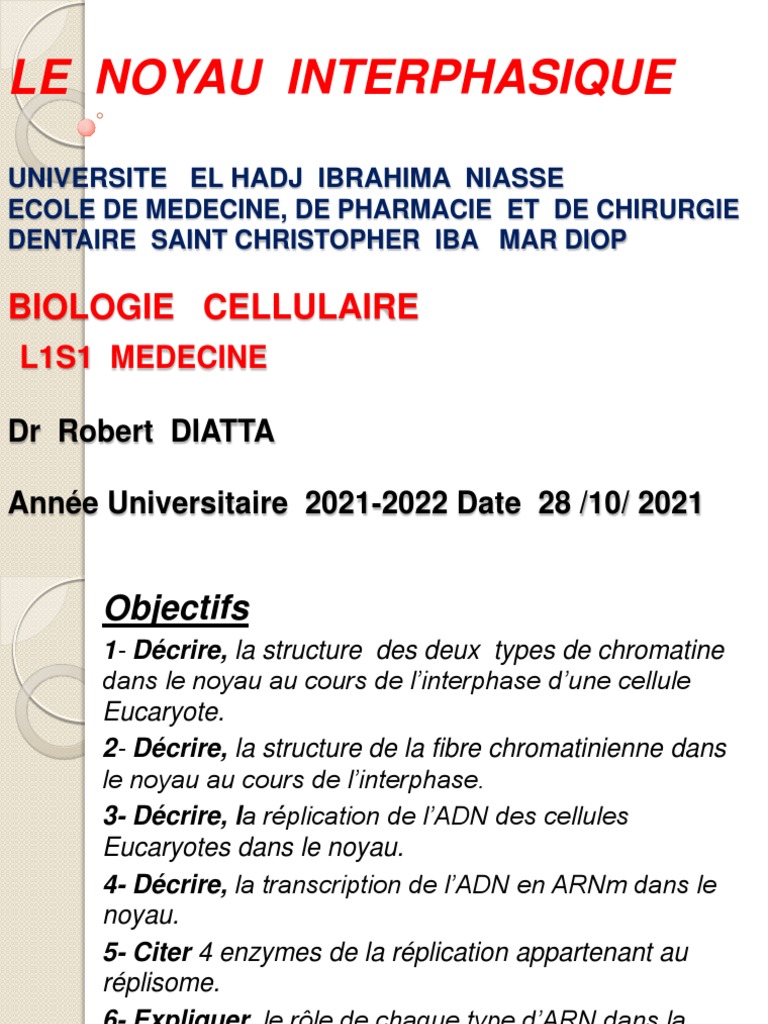 5.noyau Interphasique L1S1 2021. | PDF | Réplication de l'ADN | Noyau ...