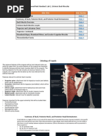 Upper Limb Mnemonics 2 | PDF | Thumb | Hand