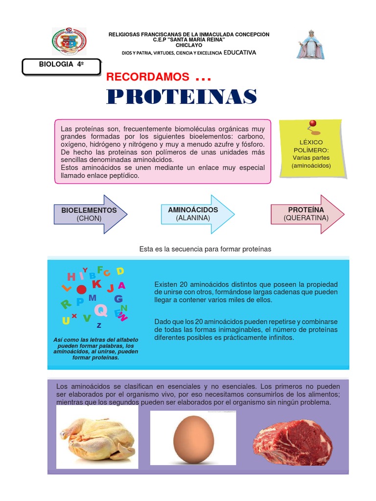 Ficha de Proteinas | PDF | Piel | Proteínas