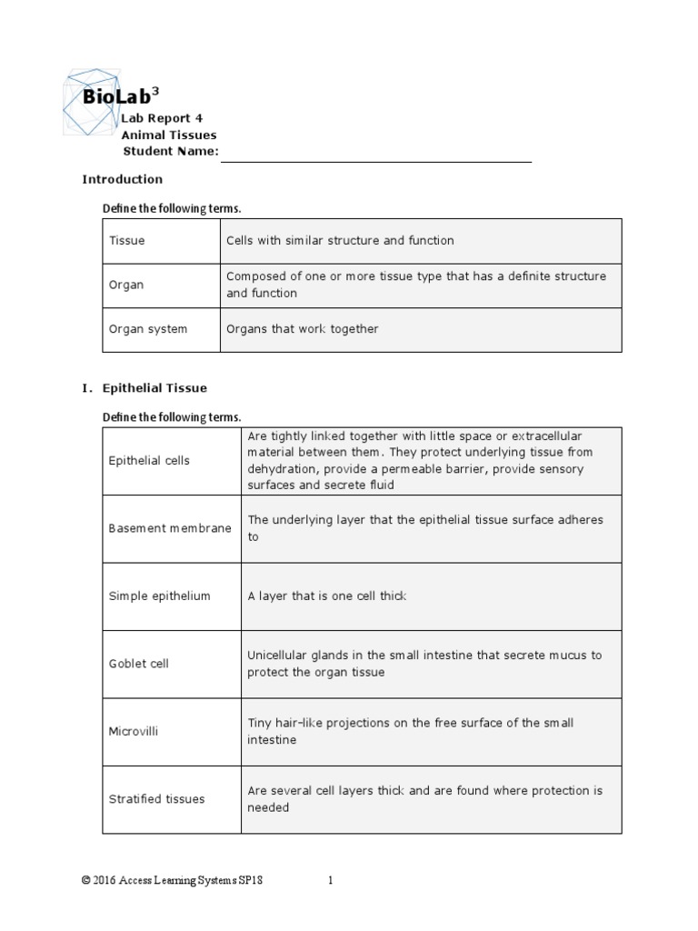 BIOL 1409 - Animal - Tissues - LR - Lab Report 4 | PDF | Epithelium ...