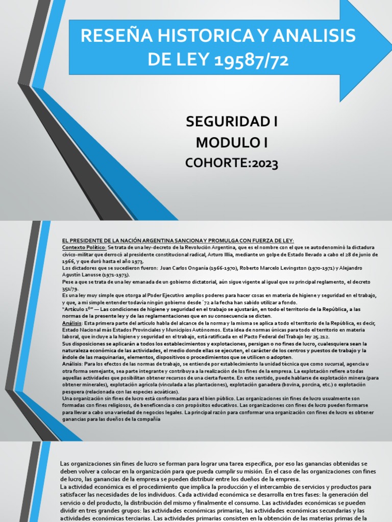 Análisis de la Ley 19587/72 en Argentina | PDF | Derecho laboral