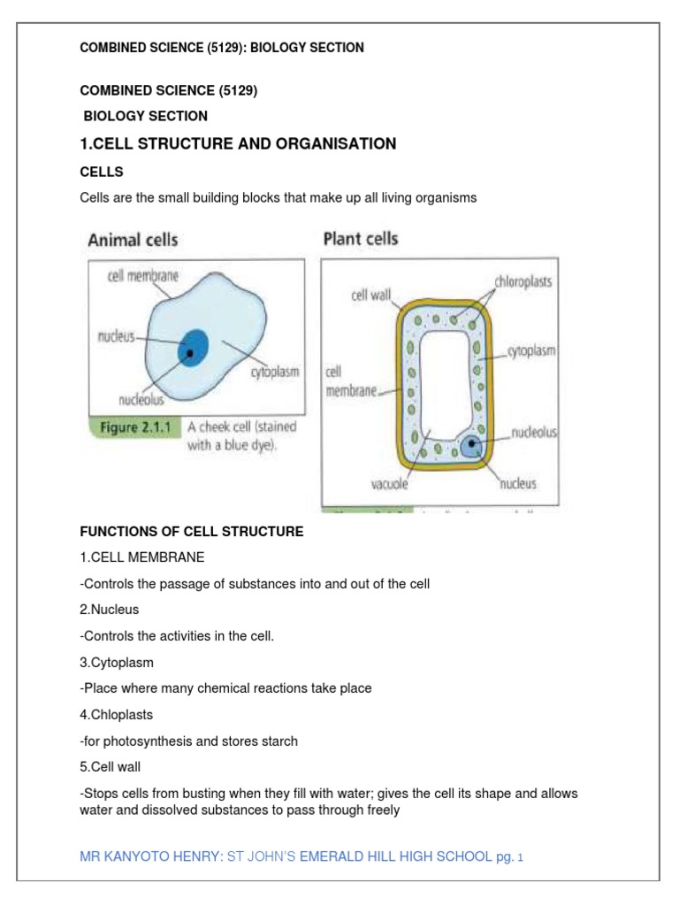Combined Science (5129) Biology Notes. | PDF | Seed | Artery