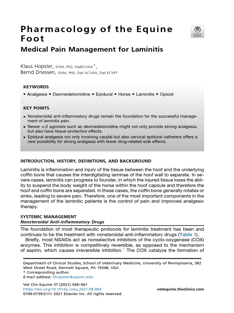 Pharmacology of The Equine Foot Medical Pain Management For Laminitis ...