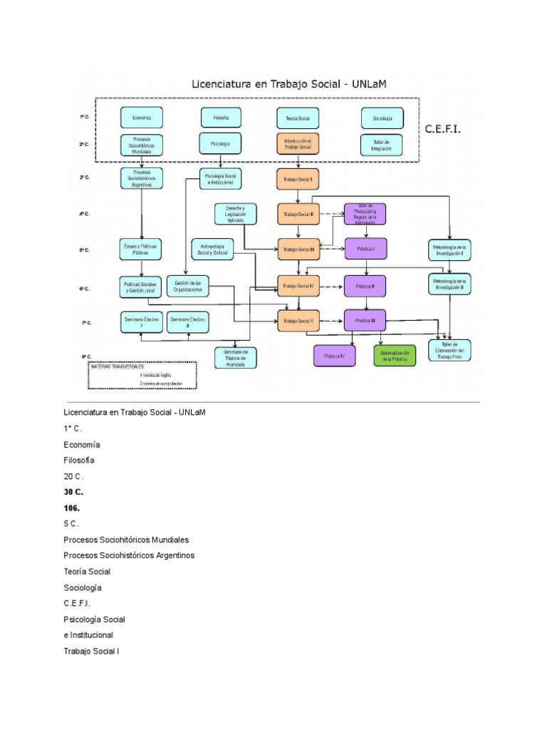 Plan de Estudios Trabajo Social UNLaM | PDF | Historia