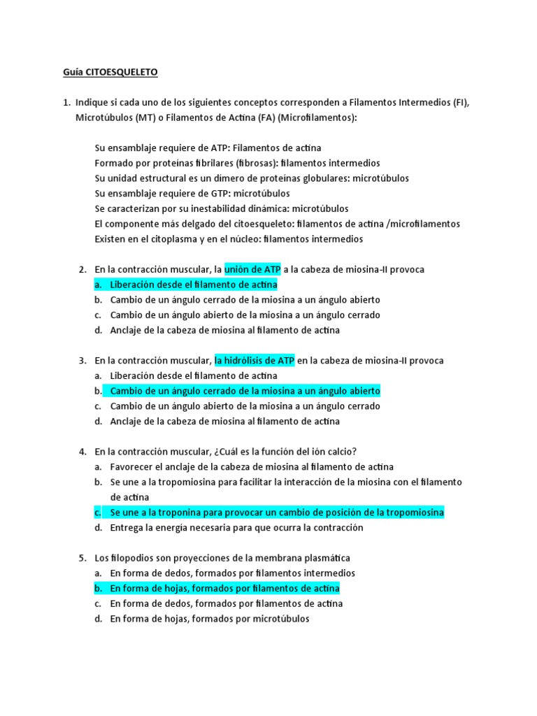 Cuestionario CITOESQUELETO | PDF | Actina | Microtúbulos