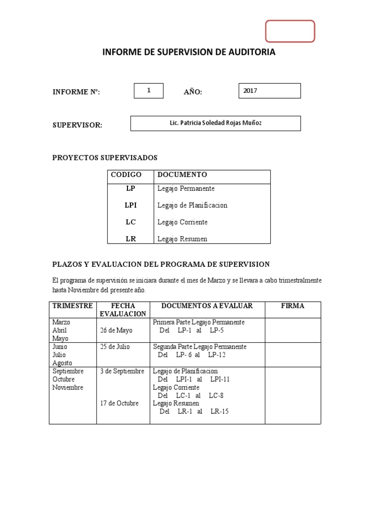 Informe de Supervision de Auditoria | PDF