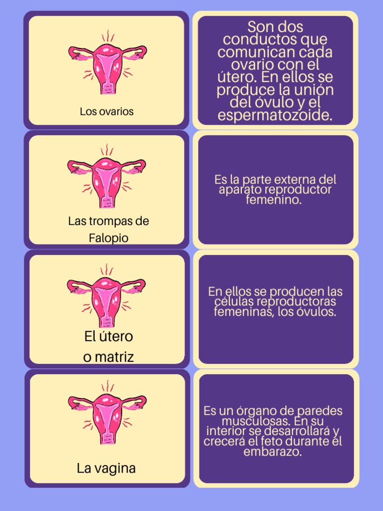 Frutas Emoji Juego de Memoria Tarjetas (Flashcards) | PDF