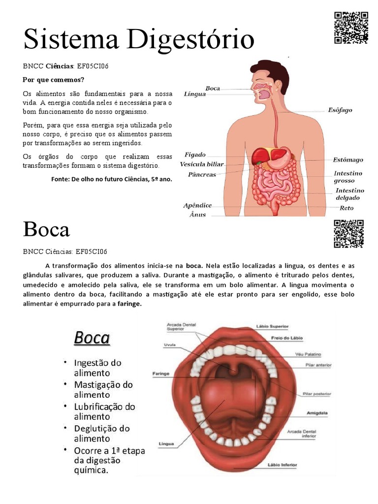Ciência - Sistema Digestório | PDF | Sistema digestivo humano | Estômago